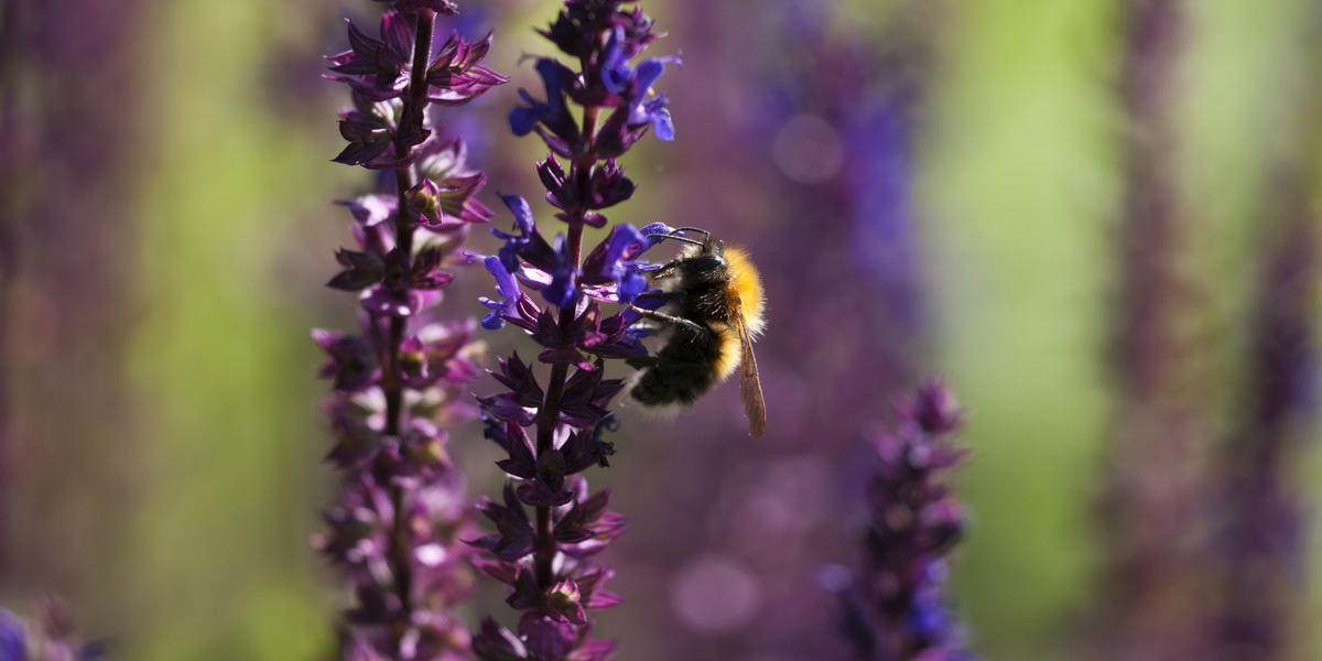 Leva hållbart - Stockholms stad